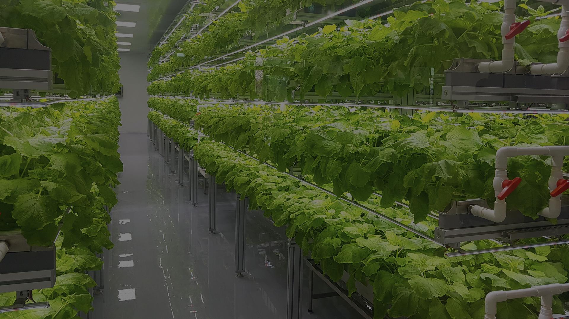 Huddersfield Horticulture is coming soon